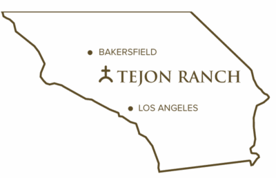 Guided Elk Hunts - Hunt at Tejon